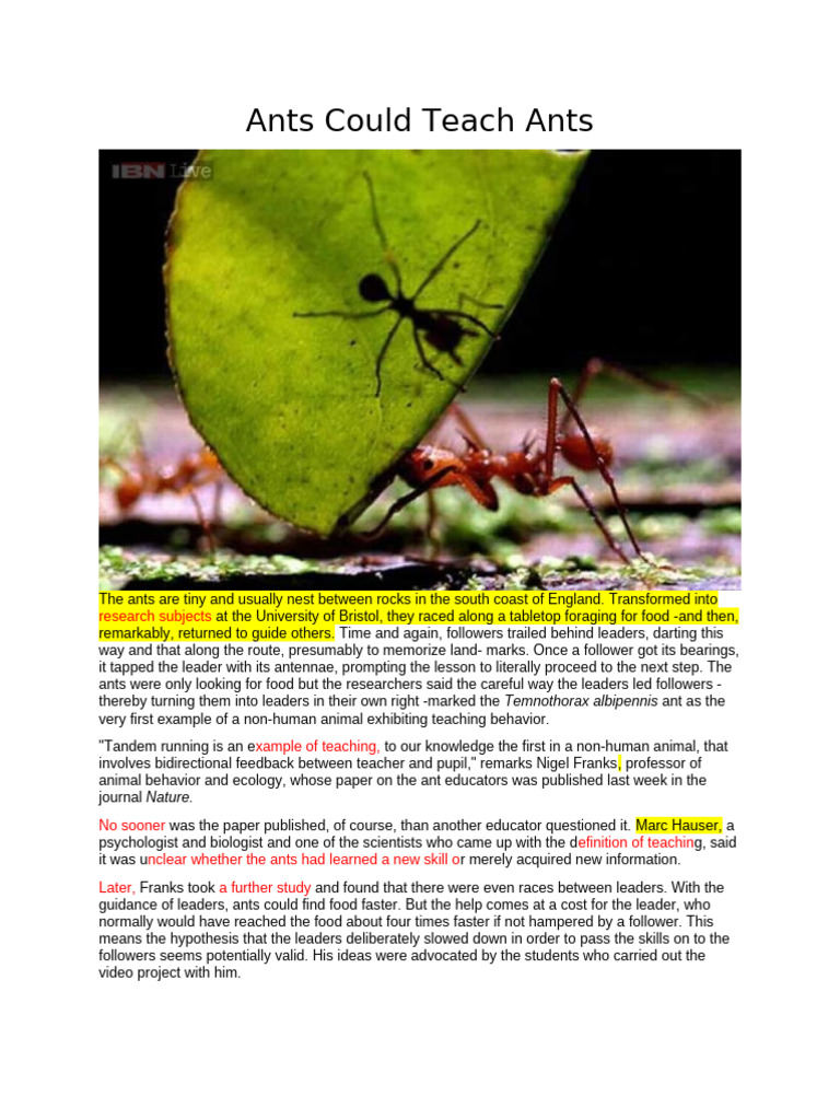 Ants Could Teach Ants | PDF | Psychology | Behavioural Sciences