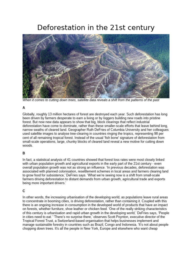 21st Century Deforestation Trends | PDF | Deforestation | Forests
