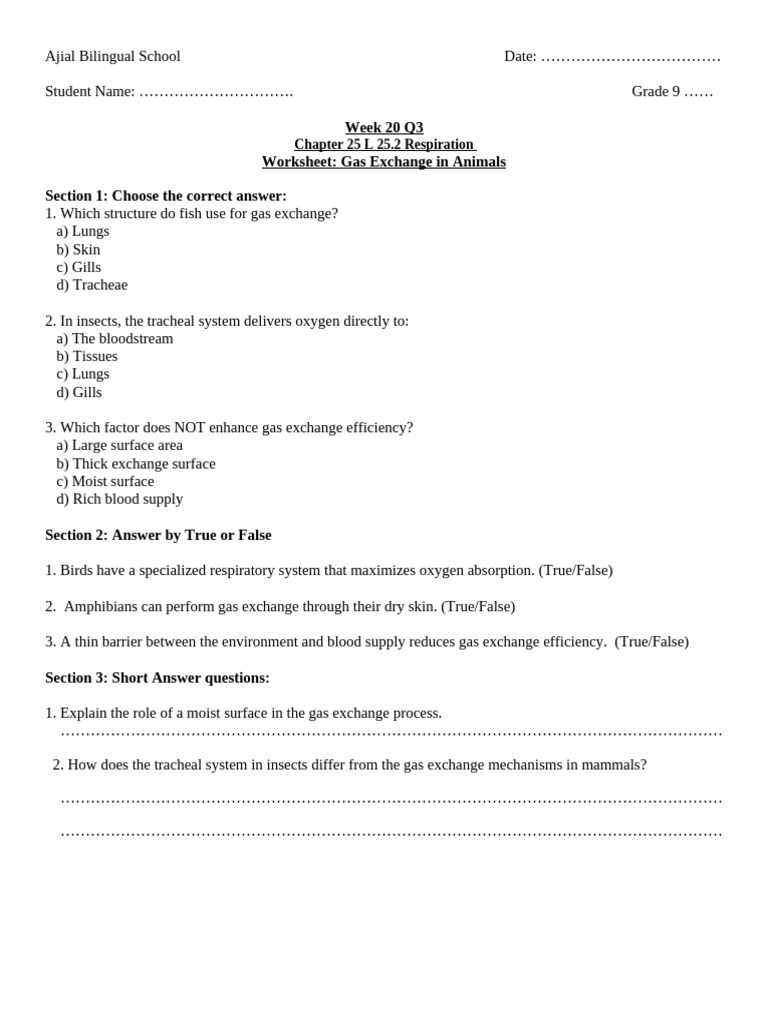 Gas Exchange Worksheet | PDF