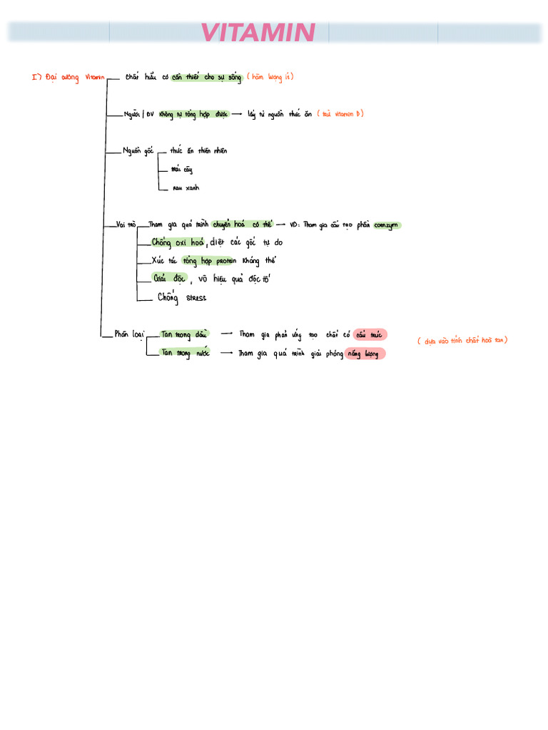 VITAMIN | PDF