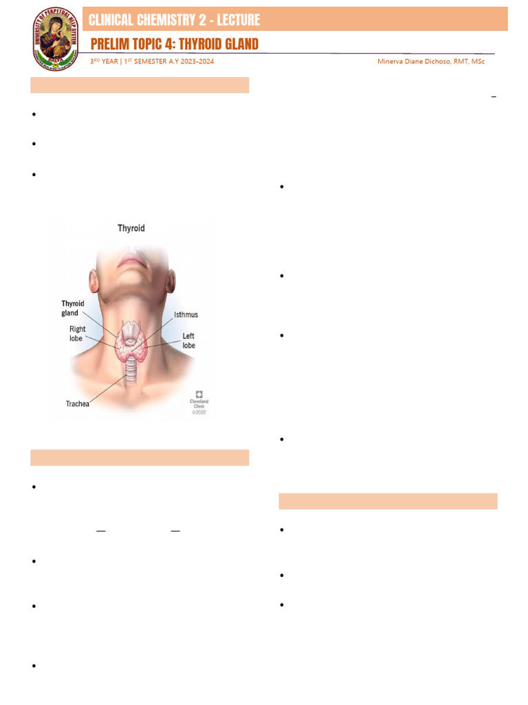 Prelim CC2 - Lec - Thyroid Gland | PDF | Thyroid | Thyroid Stimulating Hormone