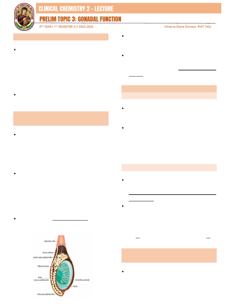 Prelim CC2 - Lec - Gonadal Function | PDF | Menstrual Cycle | Ovary