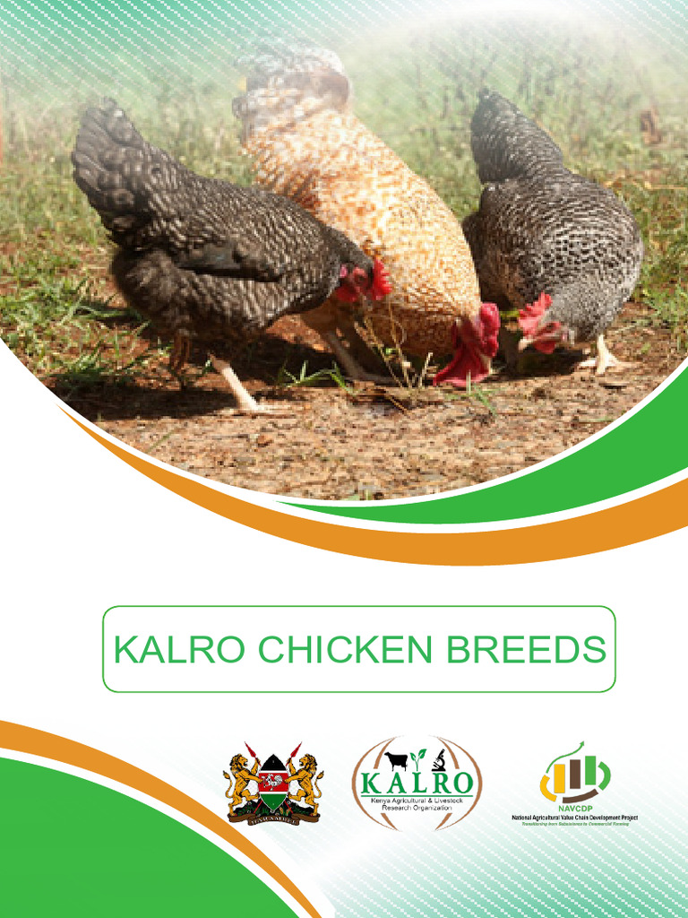 KALRO CHICKEN BREEDS | PDF | Cost Of Living | Chicken
