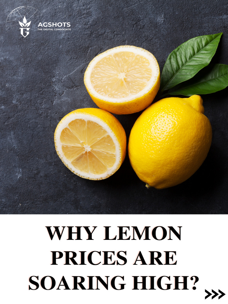 Why Are Lemon Prices So Expensive | PDF | Agriculture