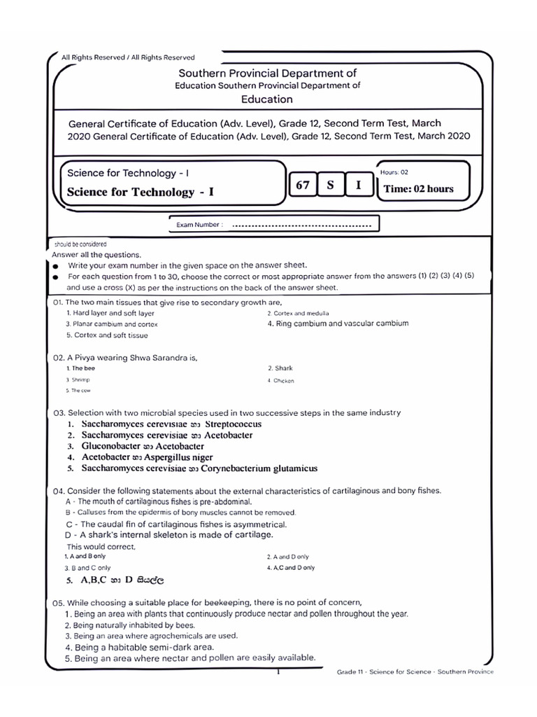 Southern Province SFT Grade 12 | PDF
