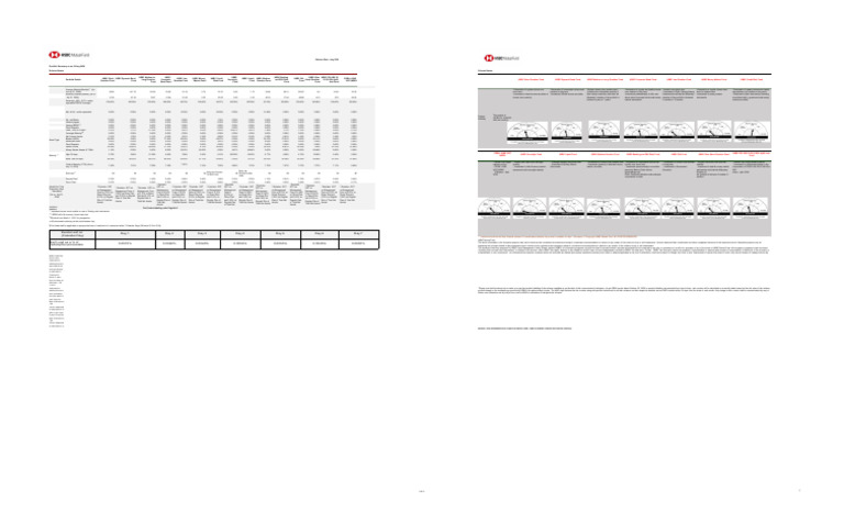 Portfolio Summary As On 9 Aug 24 | PDF | Bond Duration | Bonds (Finance)