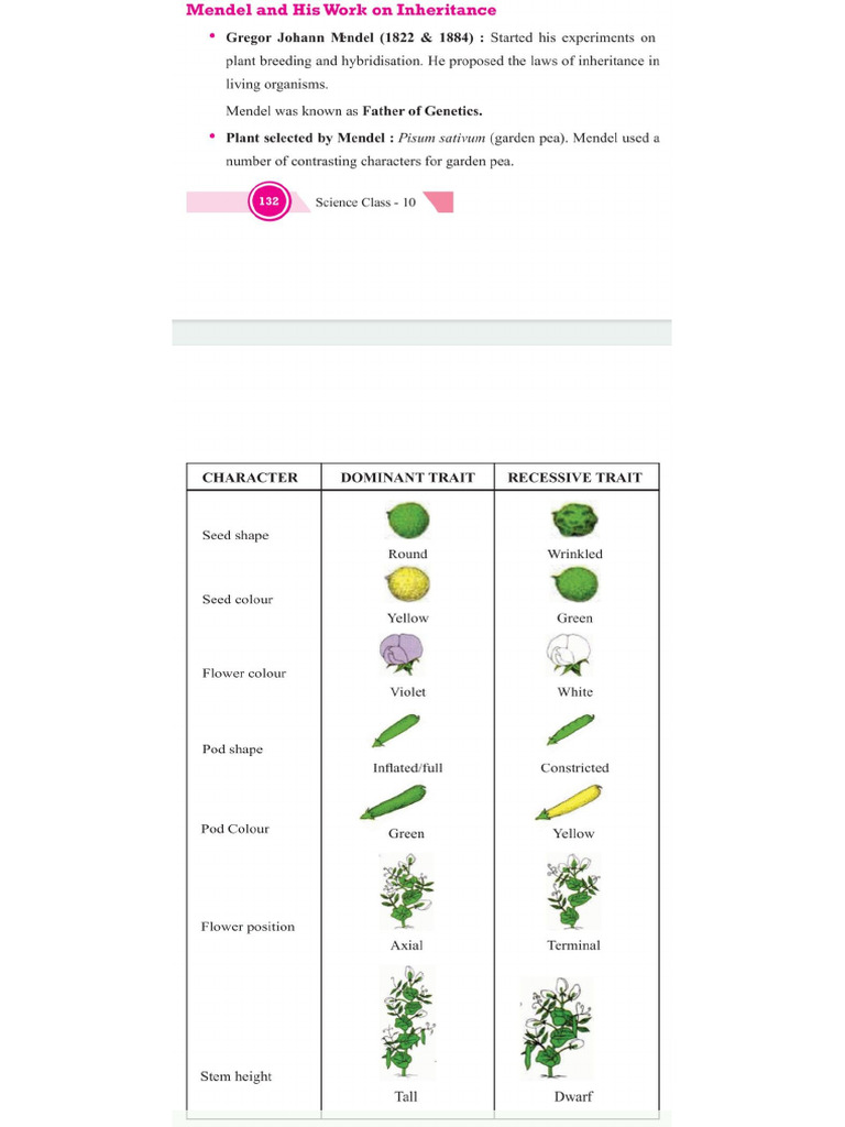 Heredity 10th Notes | PDF