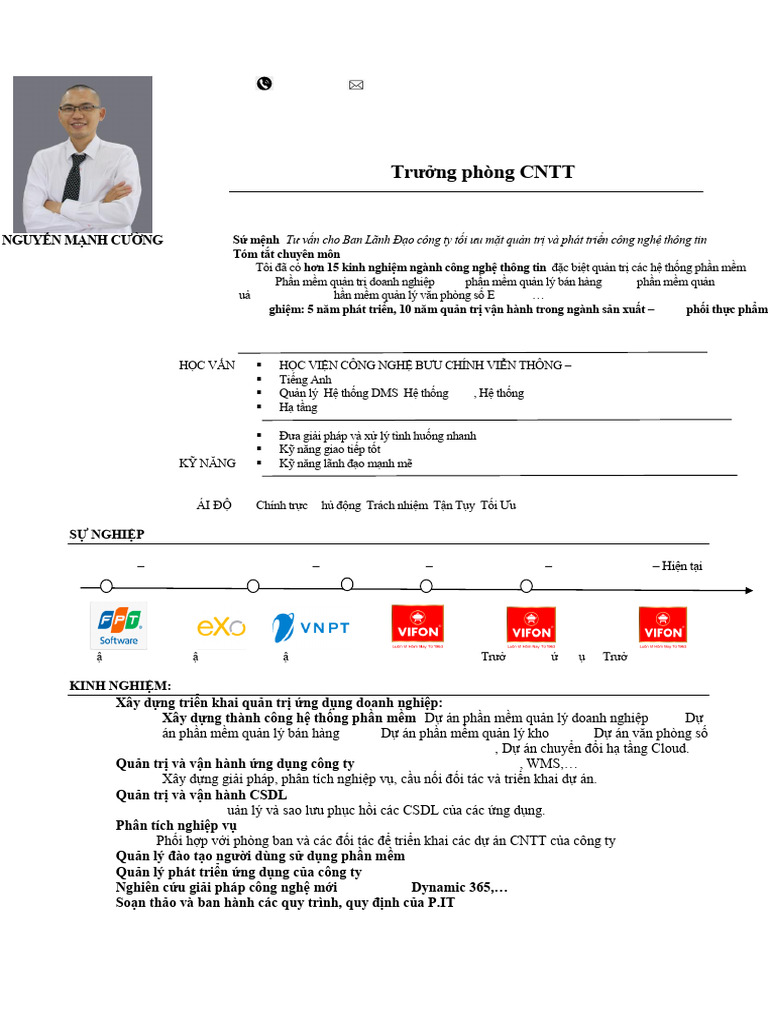IT Manager CIO 1734277876 | PDF