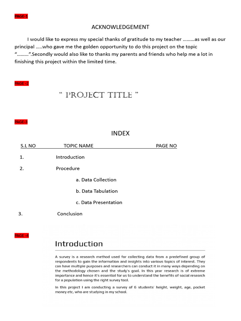 Icsc Math Project 1 Class 9 | PDF