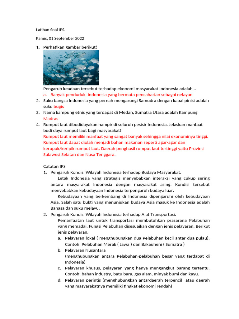 IPS 01092022 Kondisi Geografis Indonesia | PDF