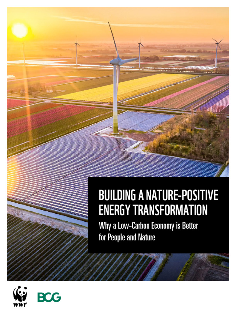 Nature Positive | PDF | Climate Change | Renewable Energy