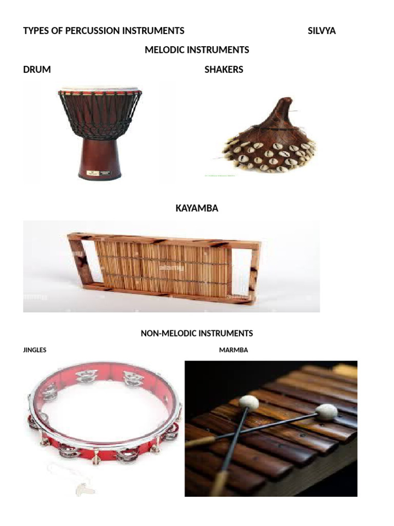 Types of Percussion Instruments | PDF