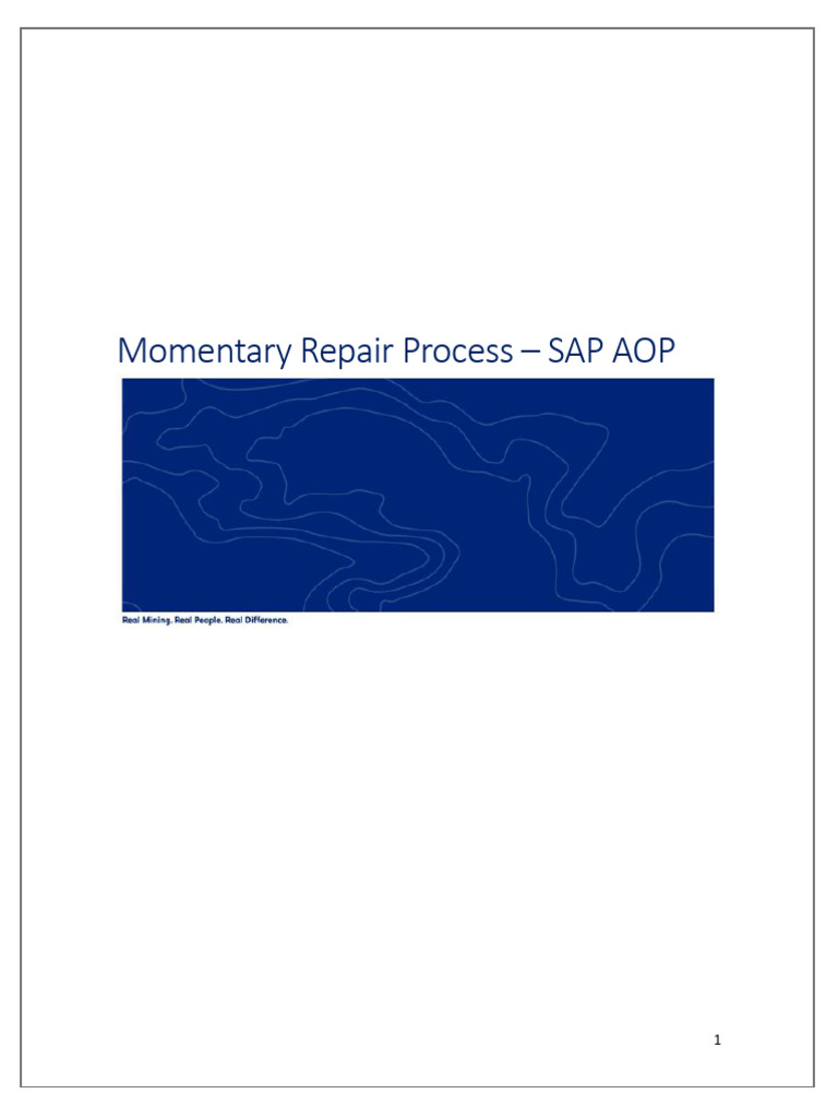 SAP AOP | PDF