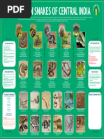 Awareness Safety Talk SNAKE HAZARDS | PDF | Snake | Venomous Snakes