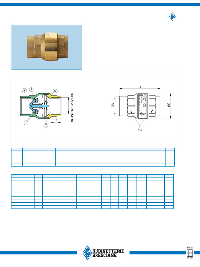 Full Bore Check Valve Specifications | PDF | Hydraulics | Gas Technologies