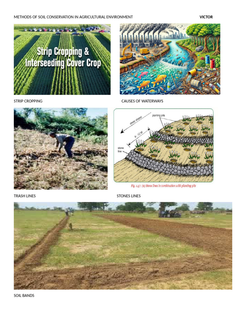 Methods of Soil Conservation in Agricultural Environement Victor | PDF