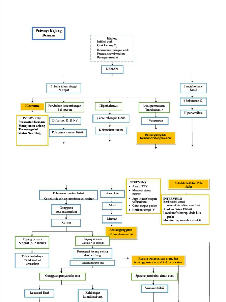 PDF Kel 05 Pathway Kejang Demam - Compress | PDF