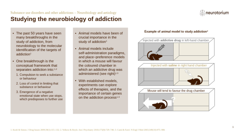 Neurobiology of Addiction Research Insights | PDF | Psychology ...