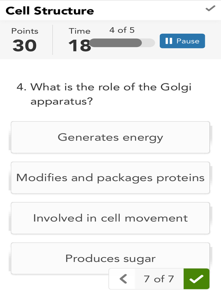 Golgi Apparatus Functions in Cells | PDF