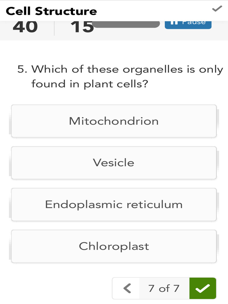 Savvas Realize 2 | PDF