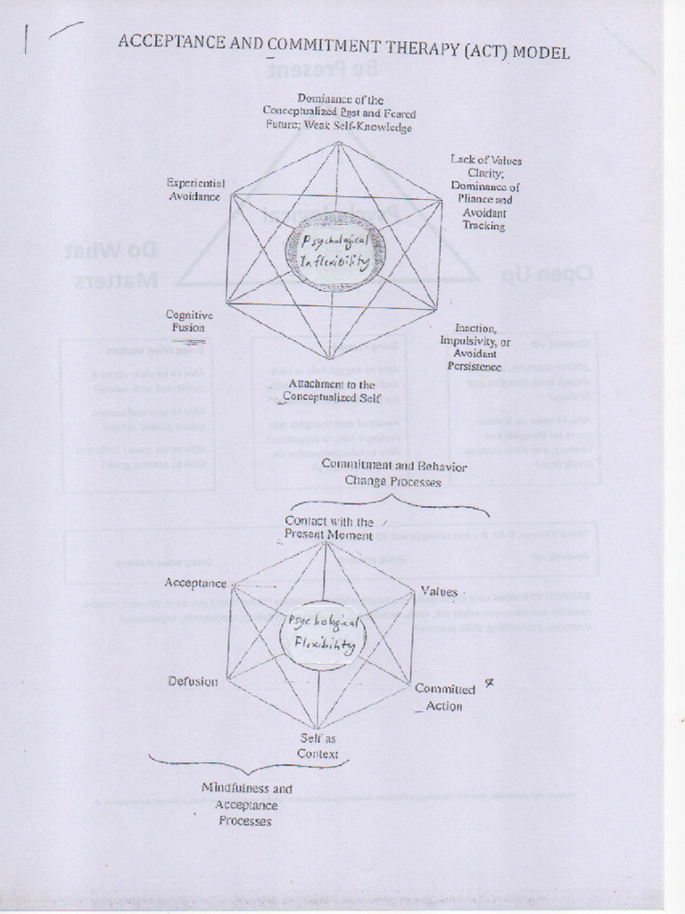 ACT Model | PDF