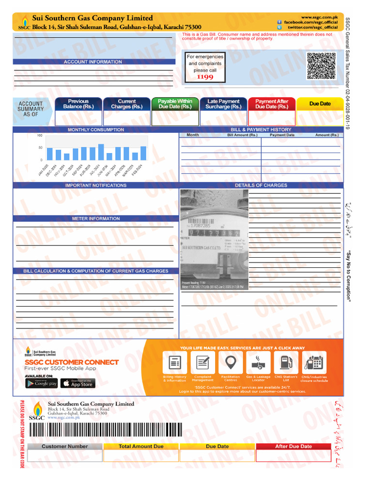 Gasbill 3947011000 202501 20250114125312 | PDF | Economies | Taxes