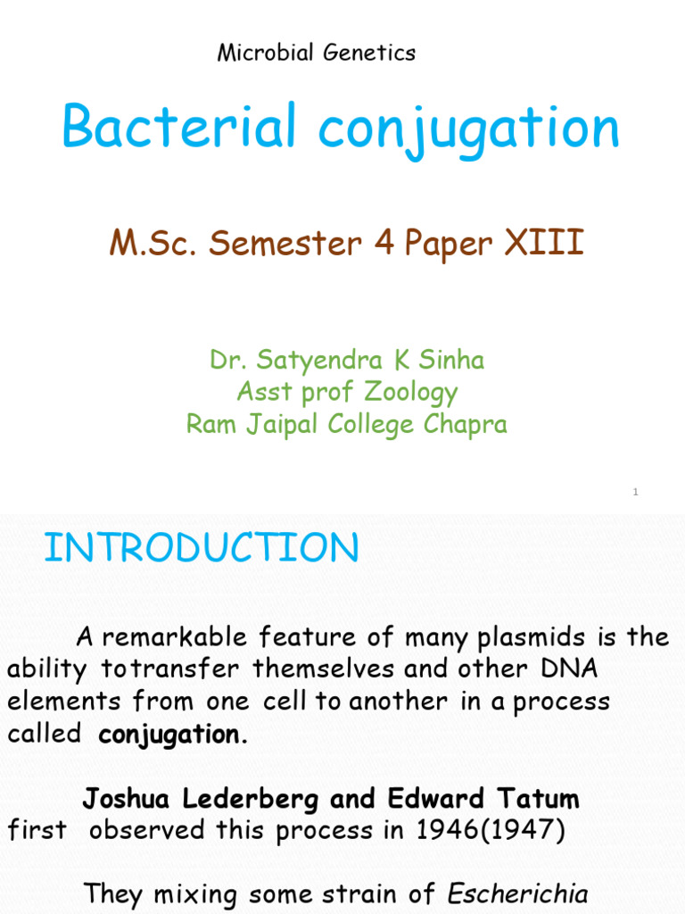 conjugation bacteria | PDF | Plasmid | Bacteria