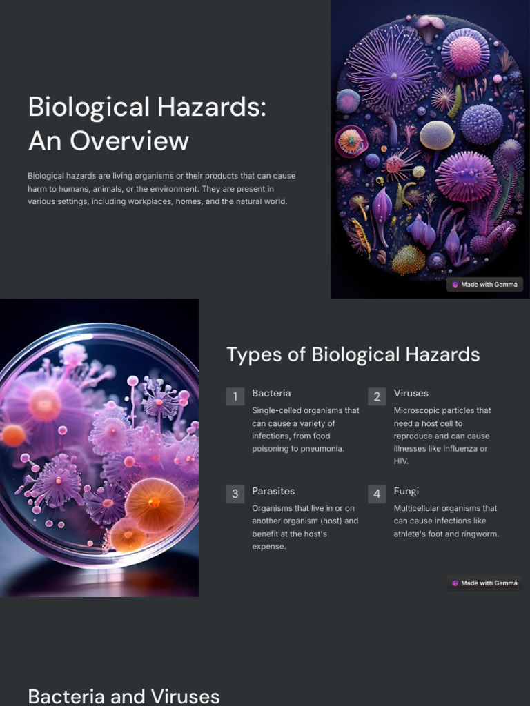 Biological Hazards An Overview | PDF | Infection | Virus