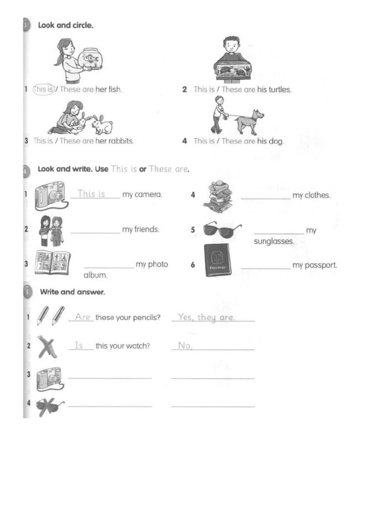 This Is These Are | PDF