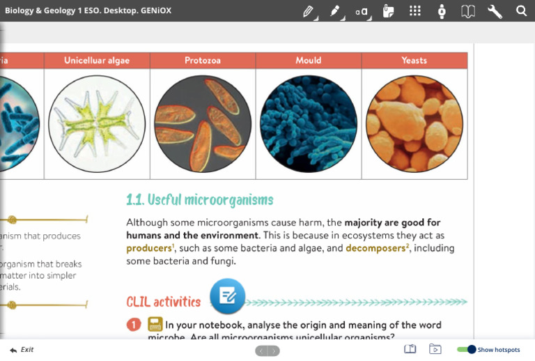 BlinkLearning Plataforma educativa digital 6 | PDF