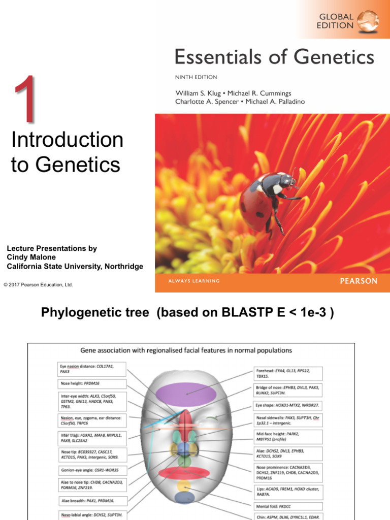 Ch01 Lecture Presentation-New | PDF