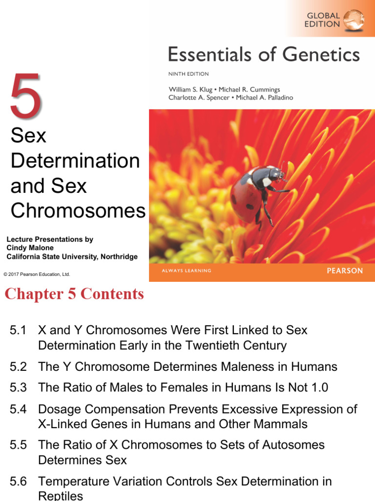 Ch05 Lecture Presentation (1) | PDF | Ploidy | Down Syndrome