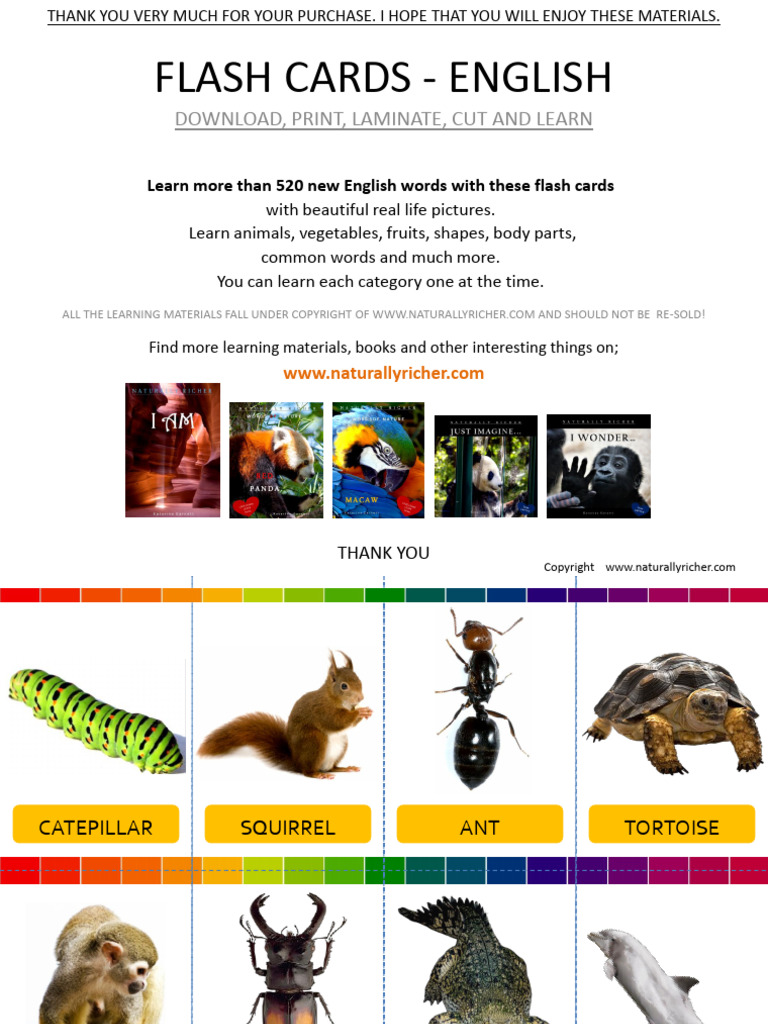 FLASH CARDS ENGLISH | PDF | Fruit | Lunch