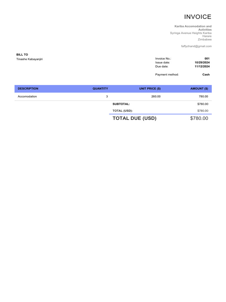 Invoice for Kariba Accommodation Services | PDF