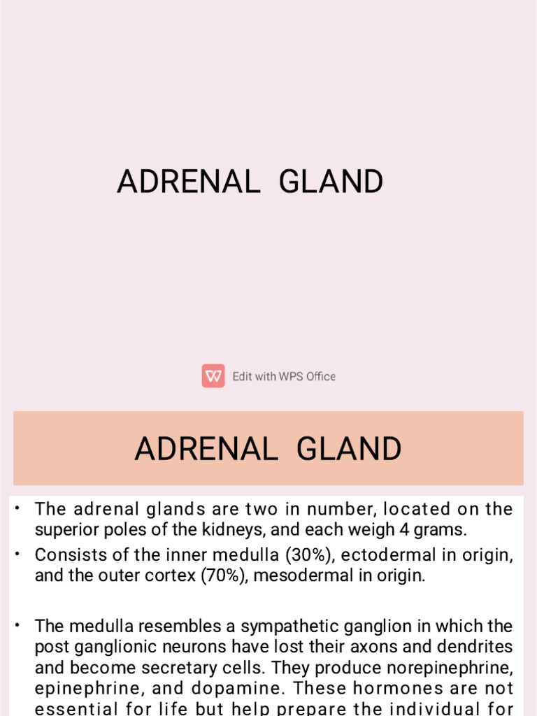 ADRENAL GLAND | PDF | Adrenal Gland | Cortisol