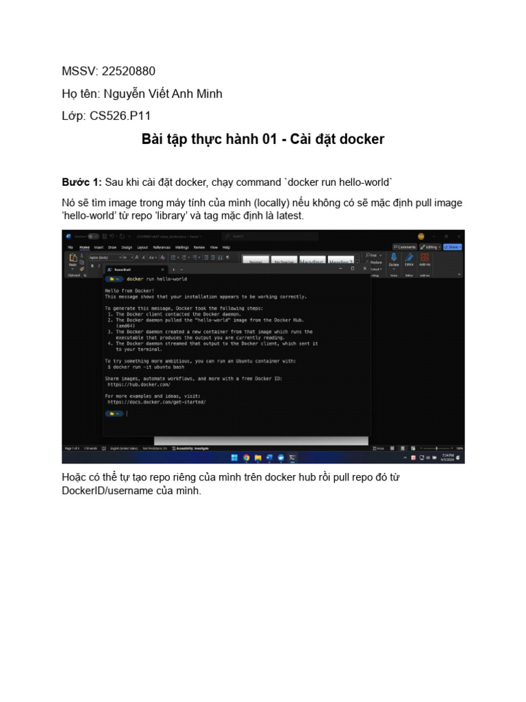 Lab01 Setup - Docker | PDF
