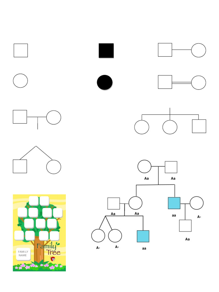 Introduction To Pedigrees Workpacket | PDF | Genetics | Evolutionary ...