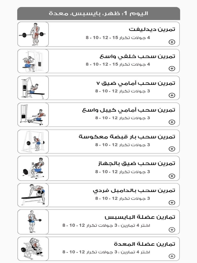 Workout Gym Program | PDF