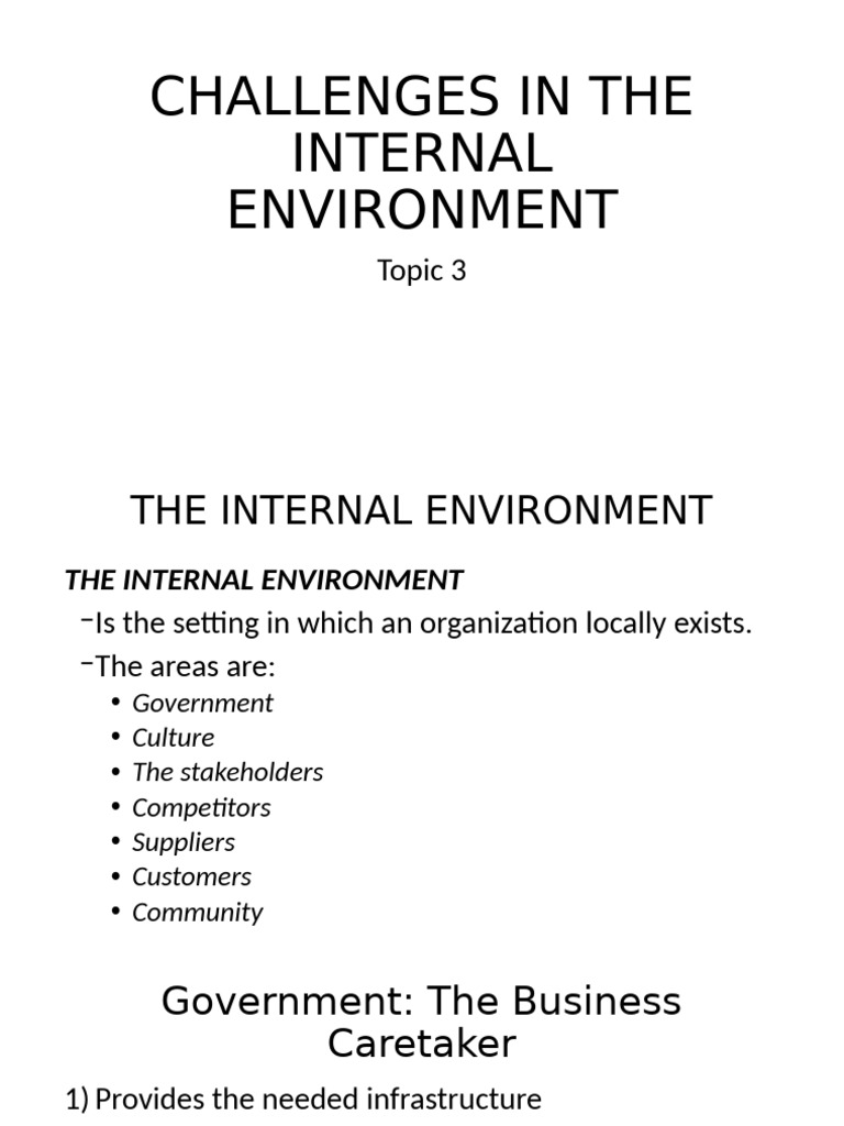 Internal Environment Business Challenges | PDF | Business | Business ...