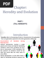 Class 10 Heredity and Evolution Notes | PDF | Dominance (Genetics ...