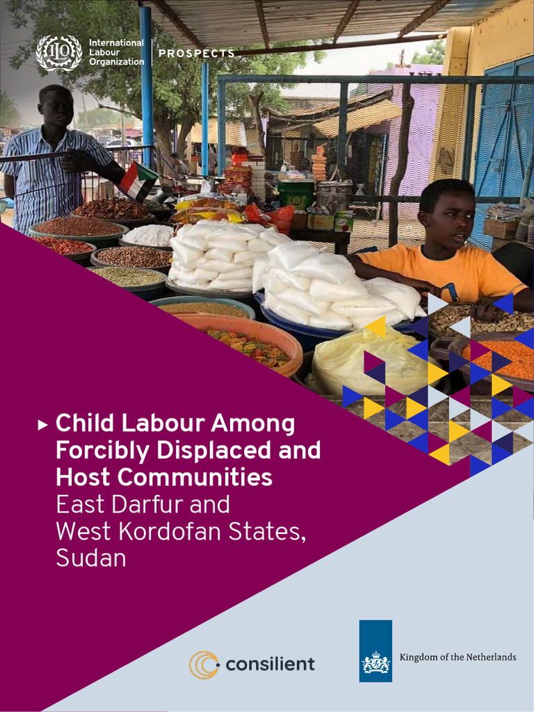 Addressing child labour | PDF | Child Labour | Sudan