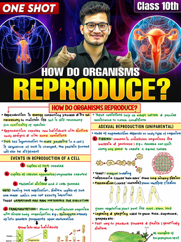 How Do Organisms Reproduce Class - 10 | PDF