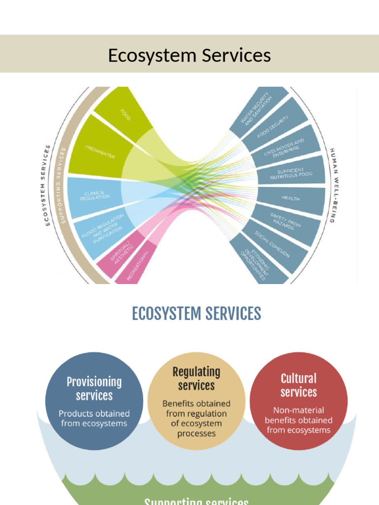 10 ARC 231 Ecosystem Services-1 | PDF