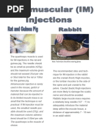 Injection For Rabbit | PDF | Injection (Medicine) | Clinical Medicine