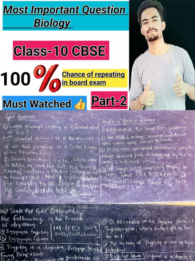 Achiever Test Revision | PDF