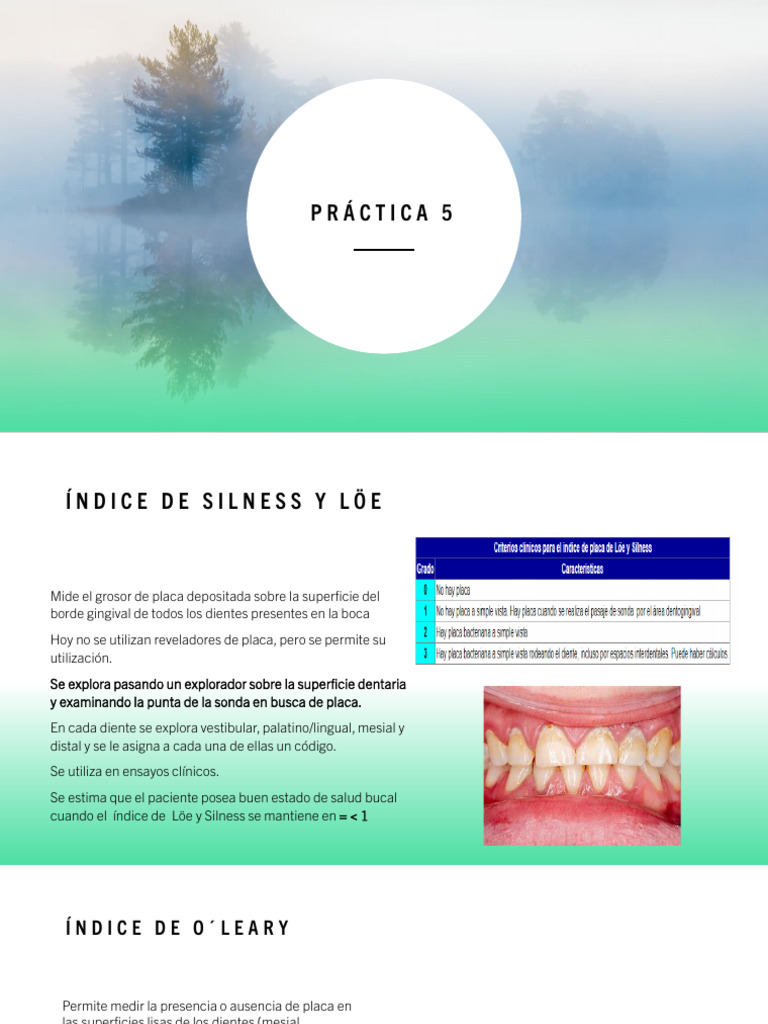 Práctica 5 | PDF | Boca | Ramas de Odontología