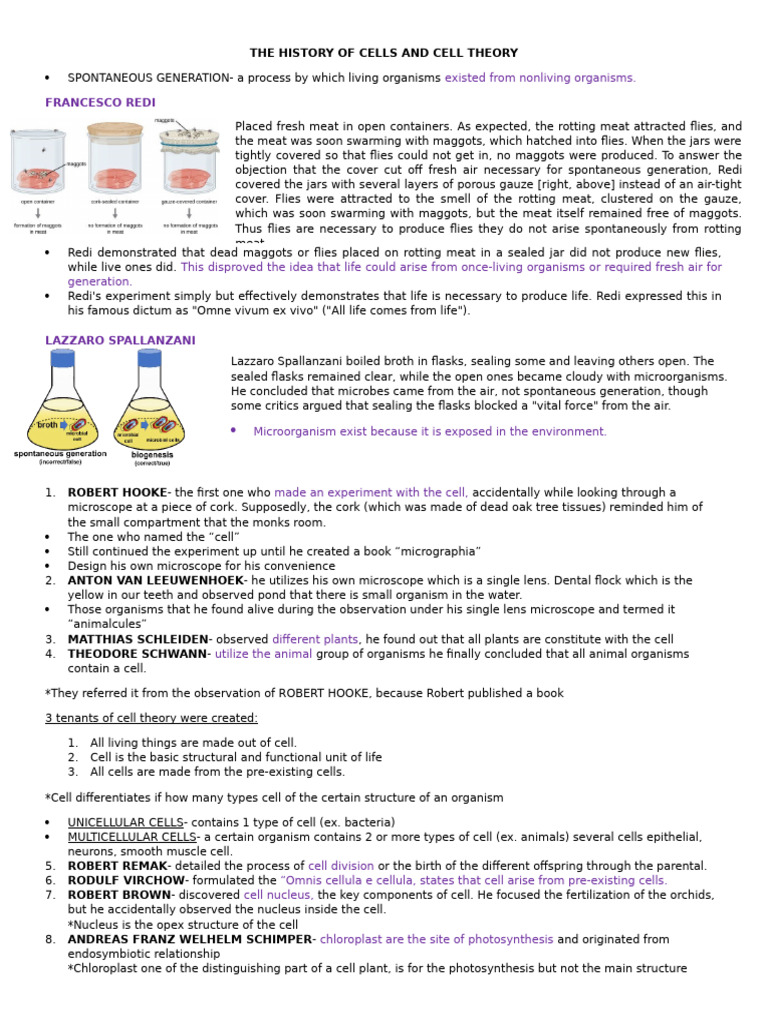 ANAPHY REVIEWER | PDF | Cell Membrane | Cell (Biology)