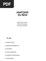 Score de Silverman | PDF | Nourrisson | Médecine clinique