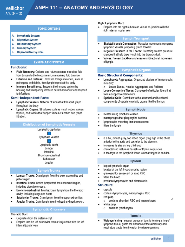 Anph Lec Finals | PDF