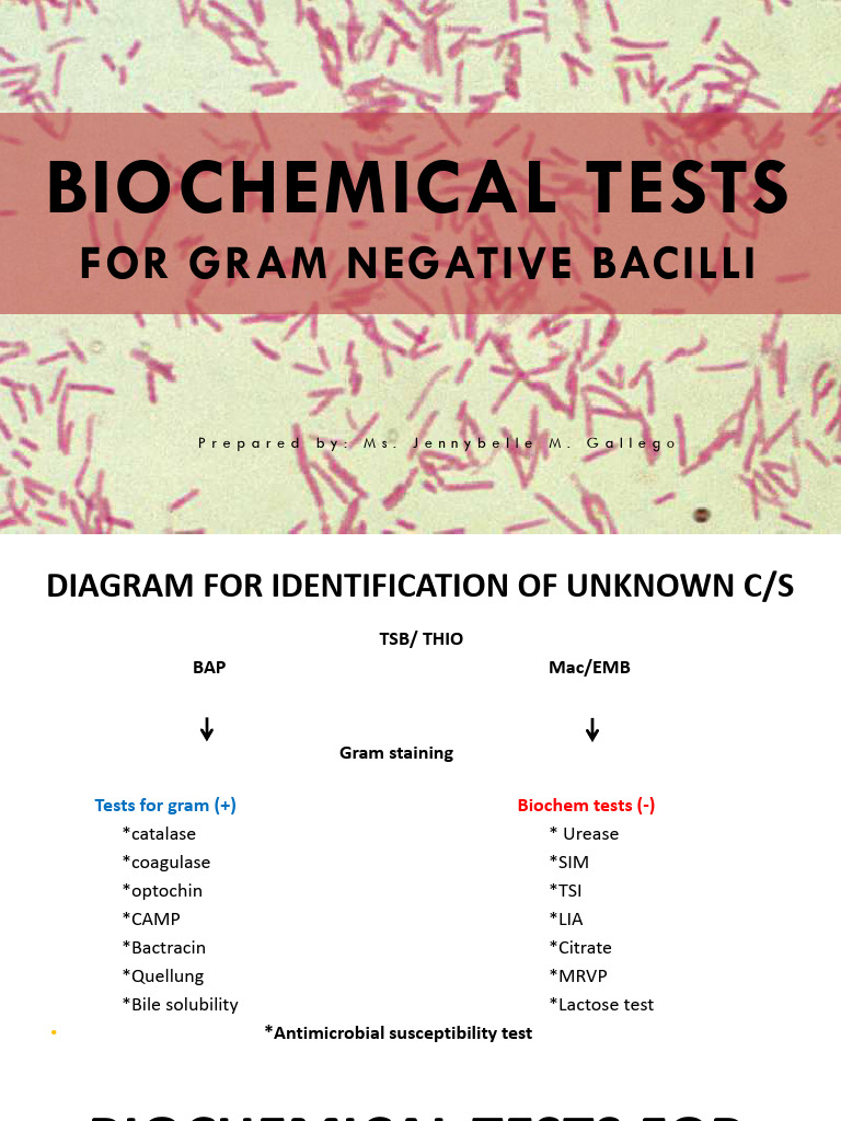 Bacte Lab 13 Biochem Tests For Gram Negative Bacilli | PDF | Chemistry